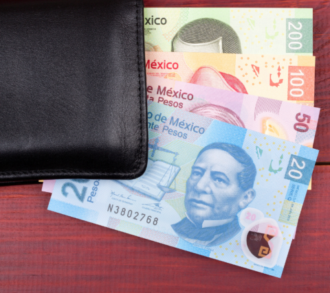 PTU en México: reglas y fechas de pago | Bermúdez Abogados
